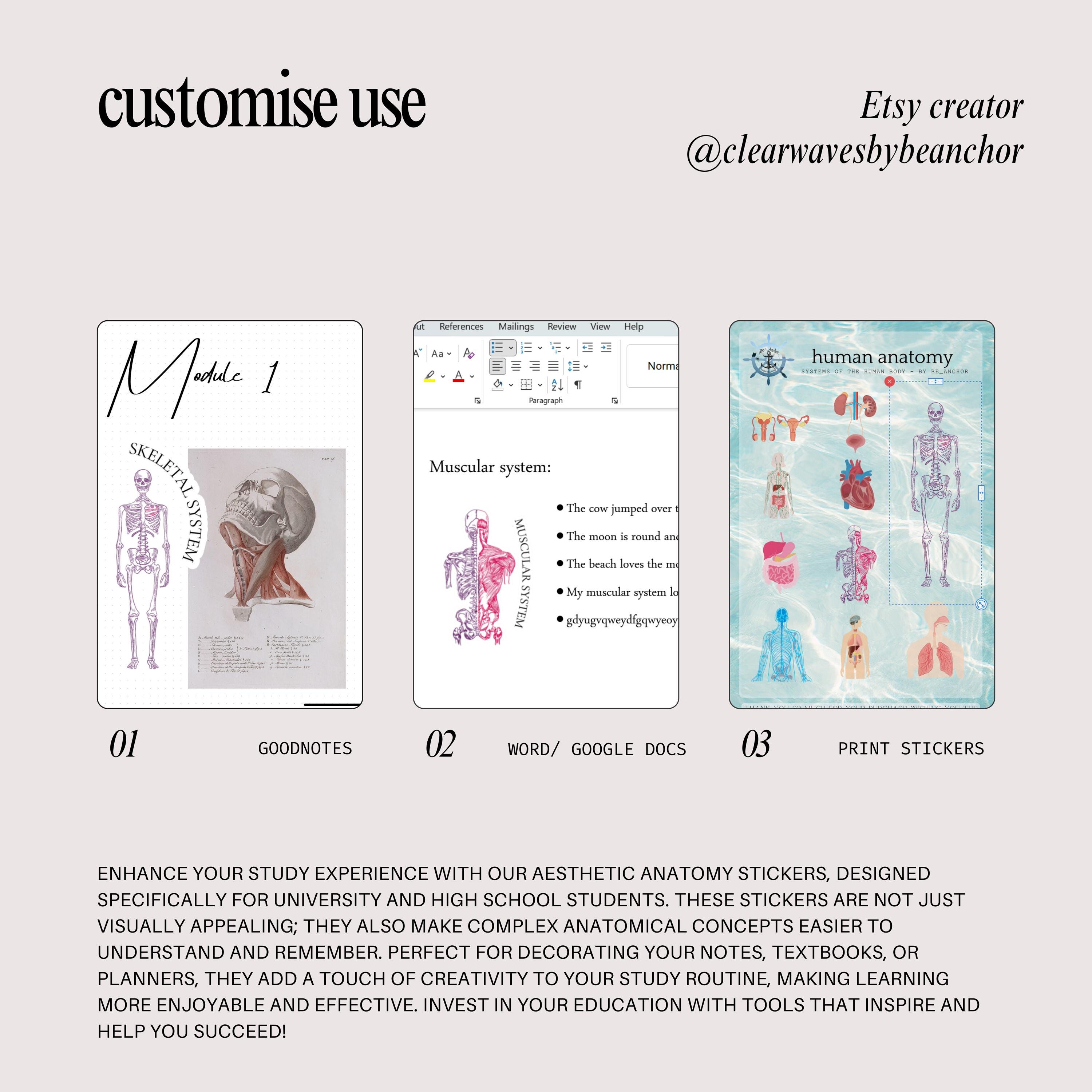Systems of the Body - Digital Anatomy Stickers - Etsy