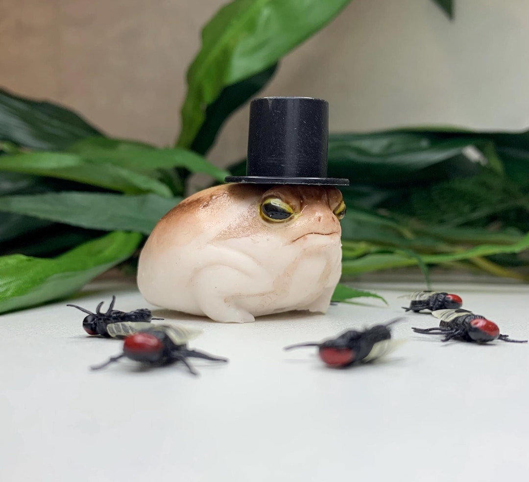 Rain Frog ( Squishy Silicone Toy ) Desert Rain Frog - Etsy