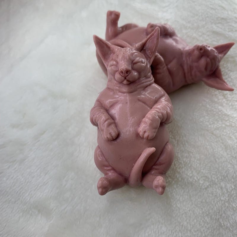 Realistic Cat Squishy - Etsy