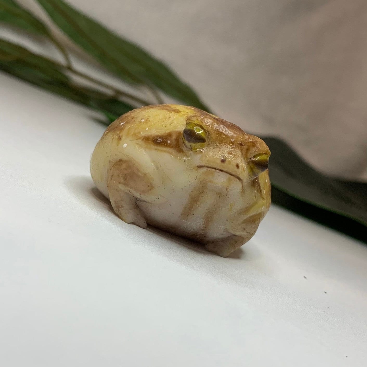 Rain Frog Squishy Silicone Toy Desert Rain Frog - Etsy