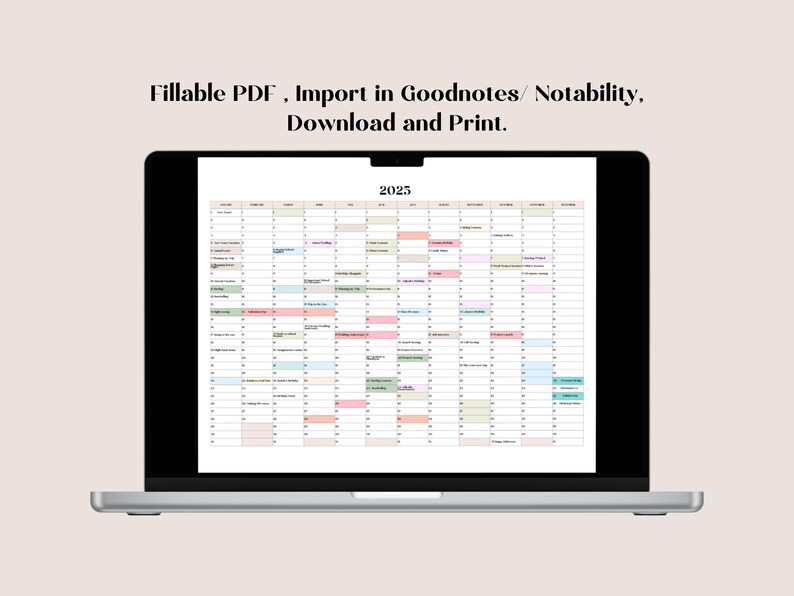 2025 Year Planner, Undated Year Calendar Printable & Fillable PDF, A4 ...