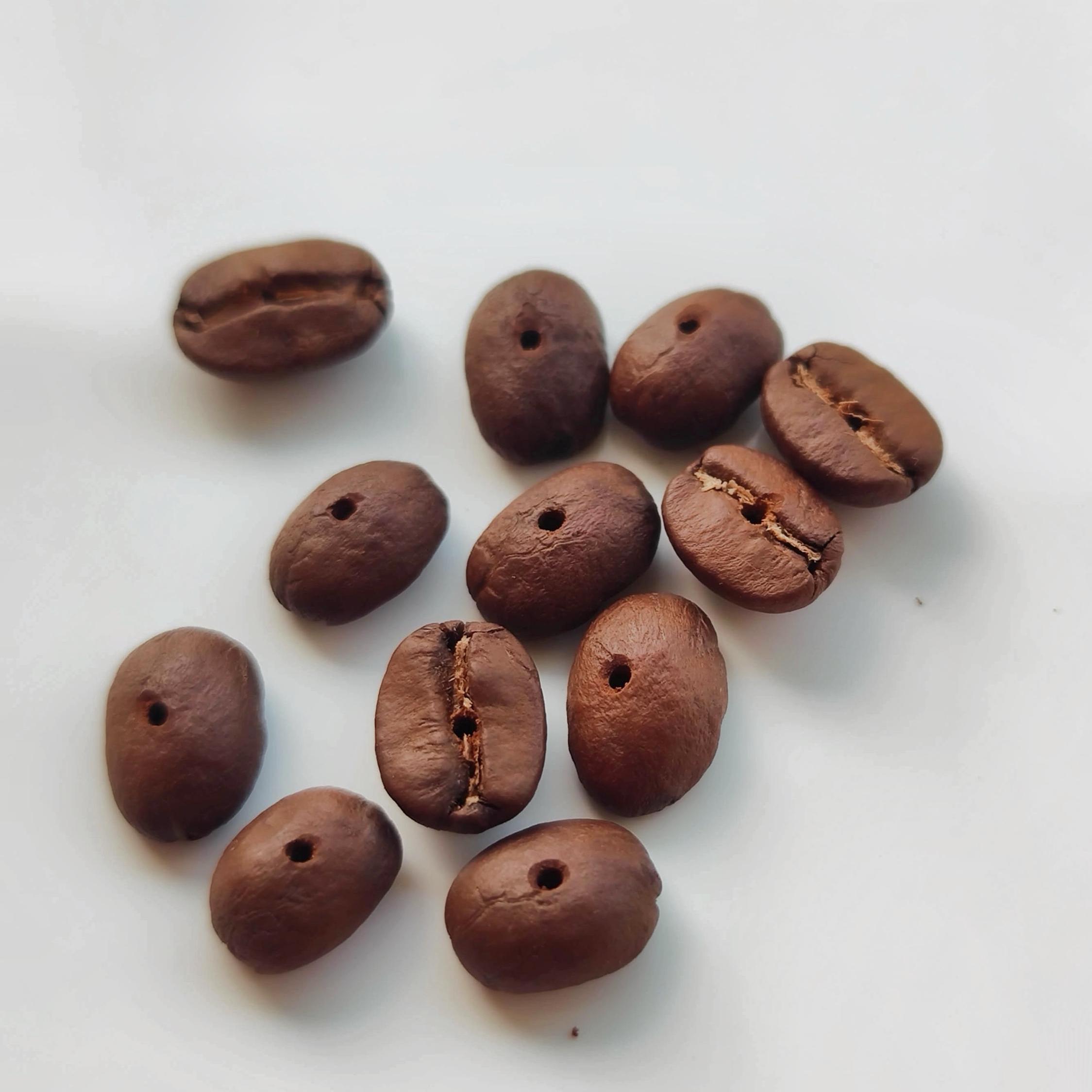 Unique Handmade Real Coffee Bean Bracelet, Coffee Lover Gift, Roasted ...