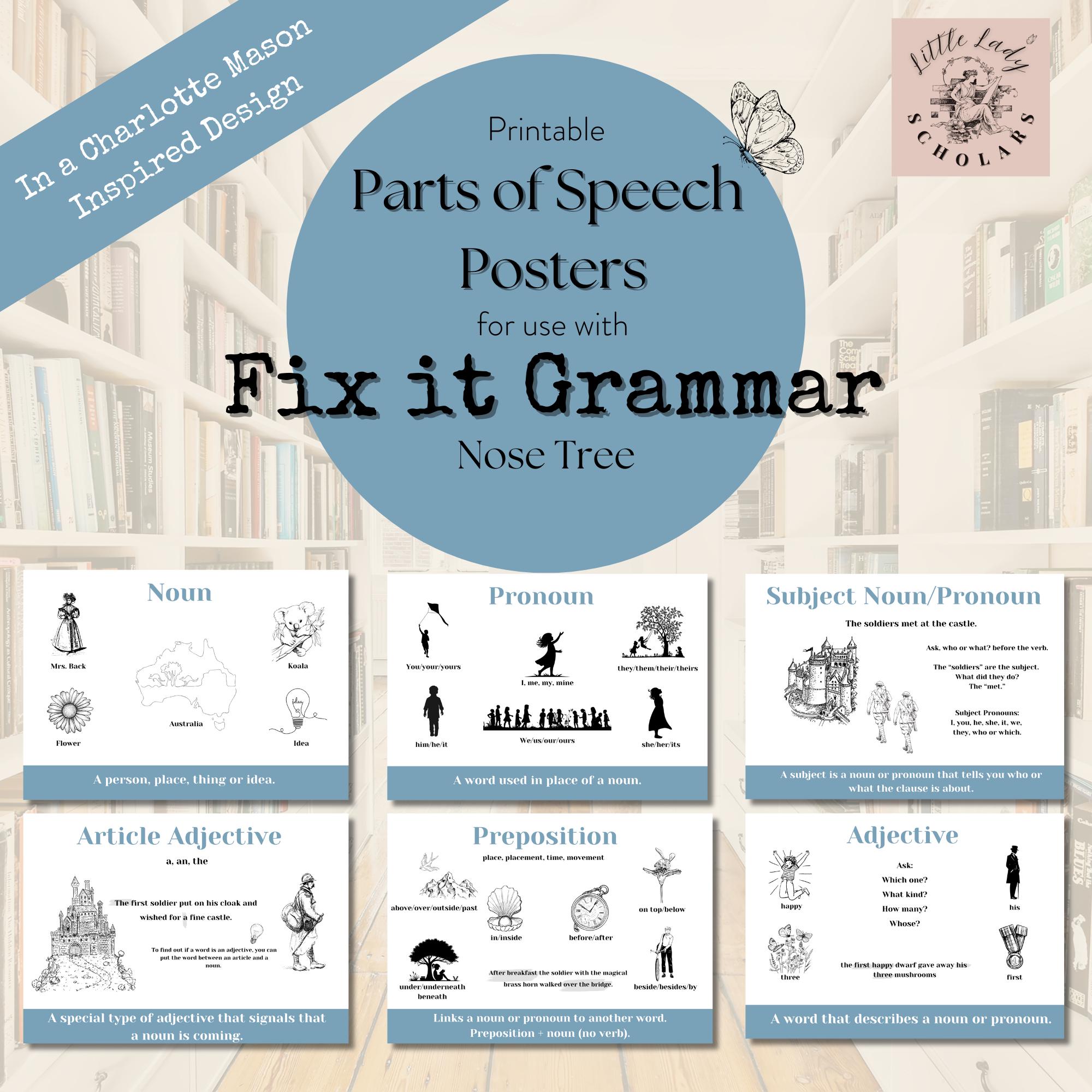 Parts of Speech + Homophones Posters for Homeschool Ideal for Fix It ...