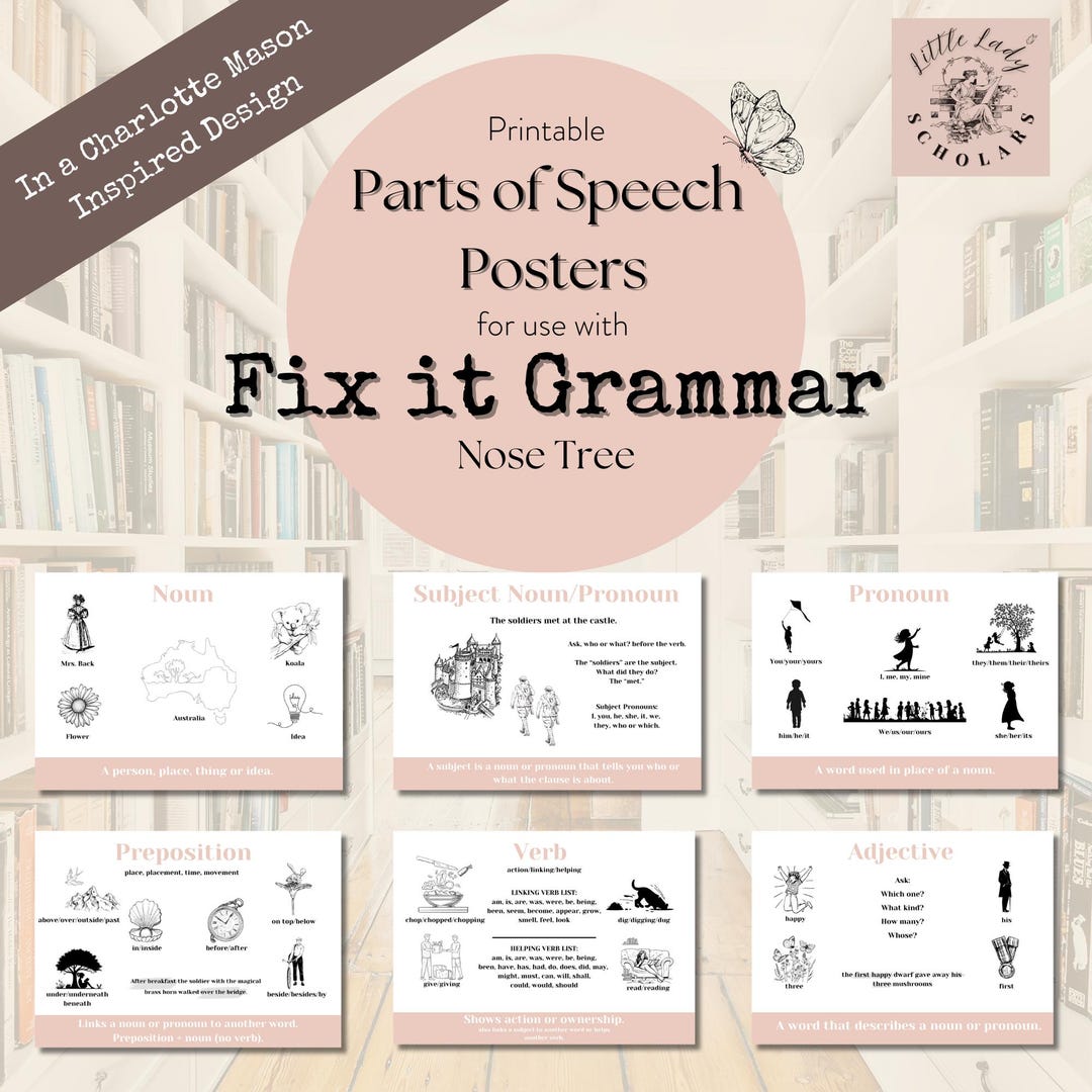 Parts of Speech + Homophones Posters for Homeschool - Ideal for Fix It ...