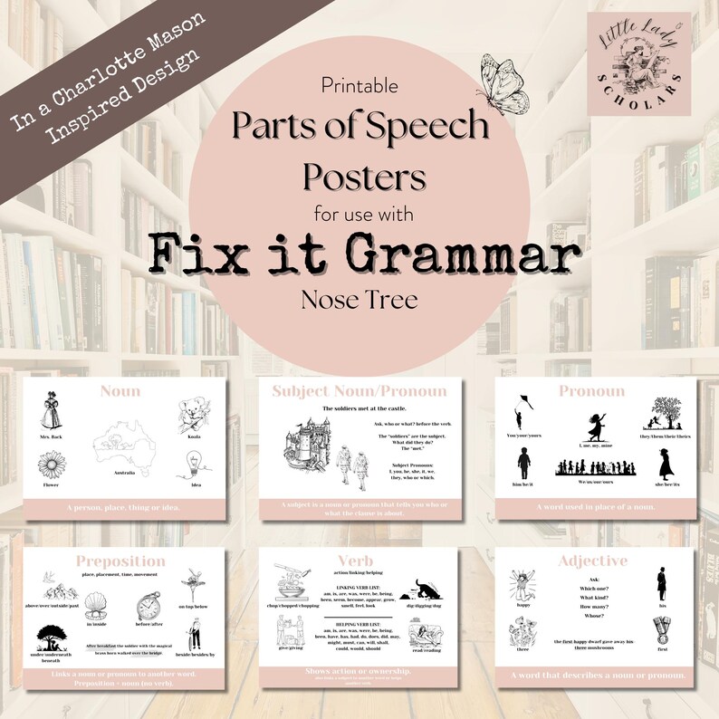 Parts of Speech + Homophones Posters for Homeschool - Ideal for Fix It ...
