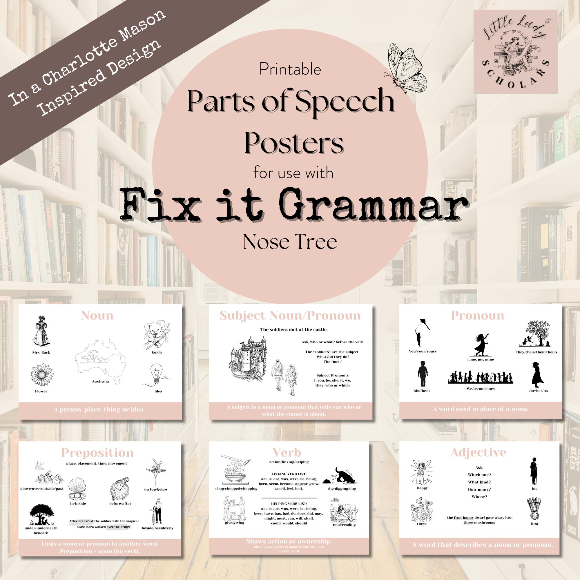 Parts of Speech + Homophones Posters for Homeschool - Ideal for Fix It ...