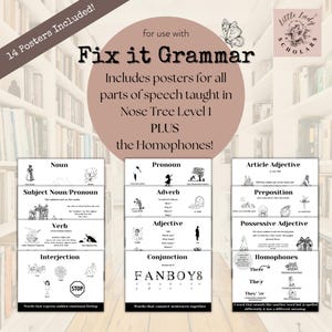Grammar Posters: Parts of Speech, Homophones - Fix It Grammar ...