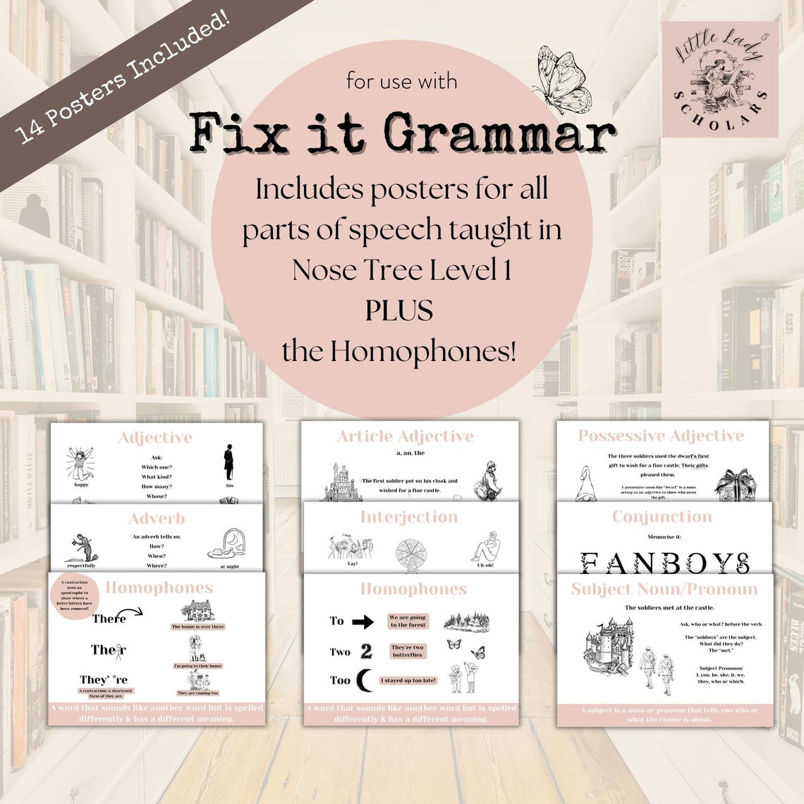 Parts of Speech + Homophones Posters for Homeschool - Ideal for Fix It ...