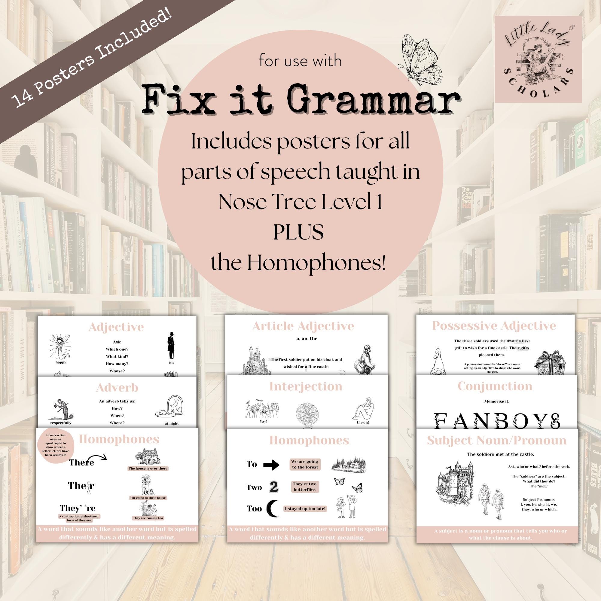 Parts of Speech + Homophones Posters for Homeschool - Ideal for Fix It ...