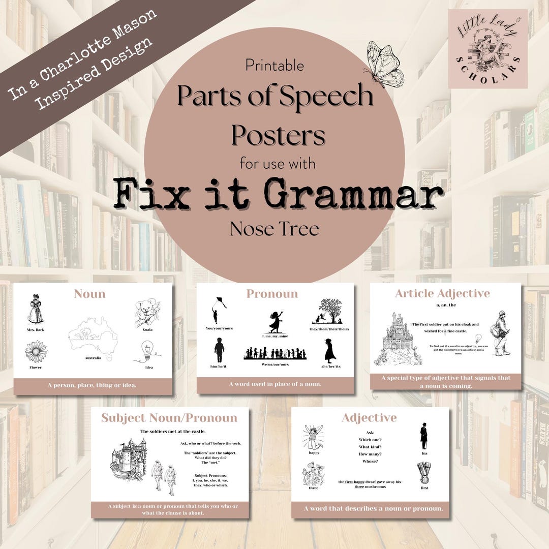 Parts of Speech and Homophones Posters for Homeschool - Ideal for Fix ...