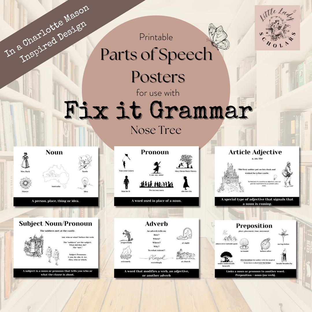 Grammar Posters: Parts of Speech, Homophones - Fix It Grammar ...