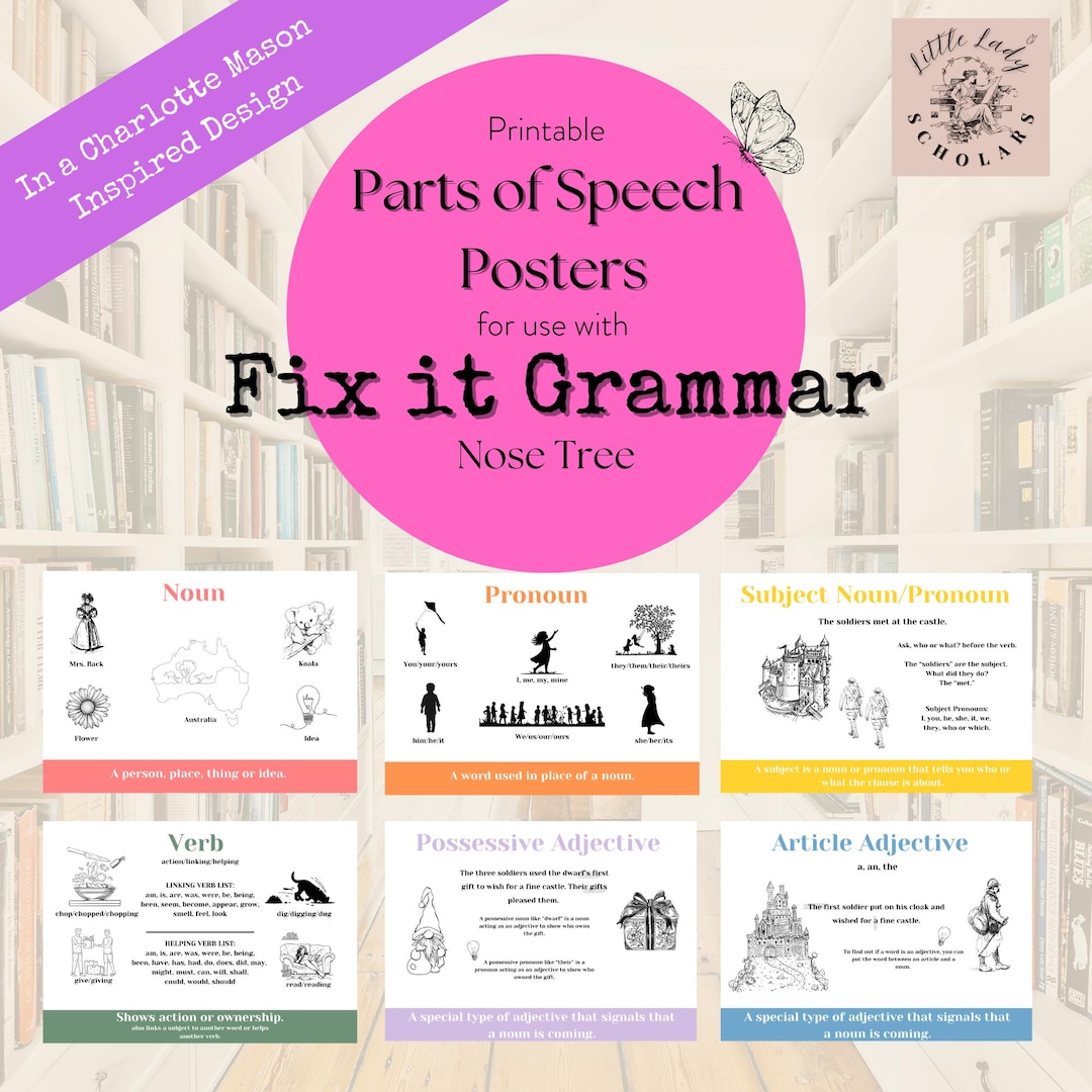Parts of Speech + Homophones Poster for Homeschool - Ideal for Use With ...