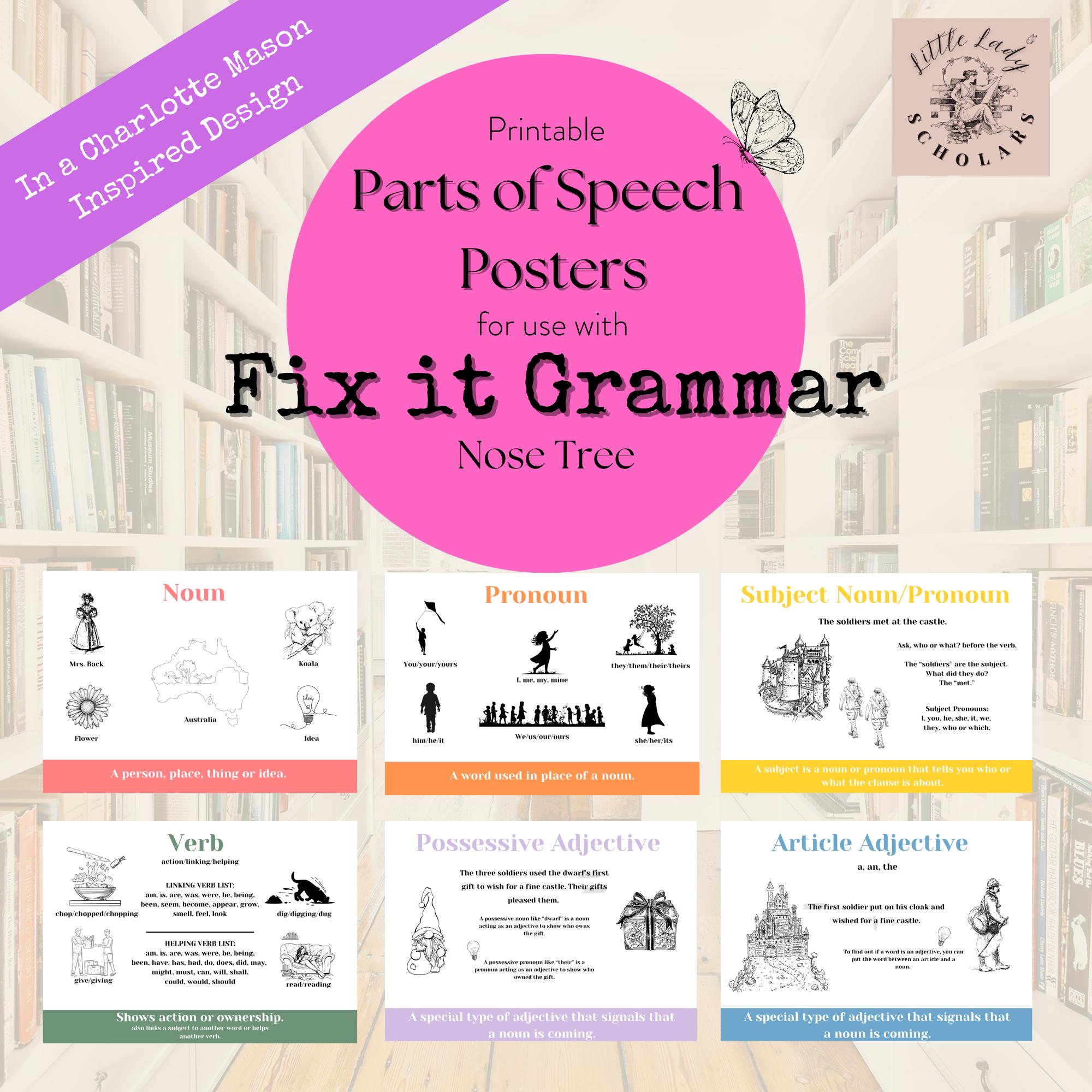 Parts of Speech Homeschool Poster: Fix It Grammar Users, Charlotte ...