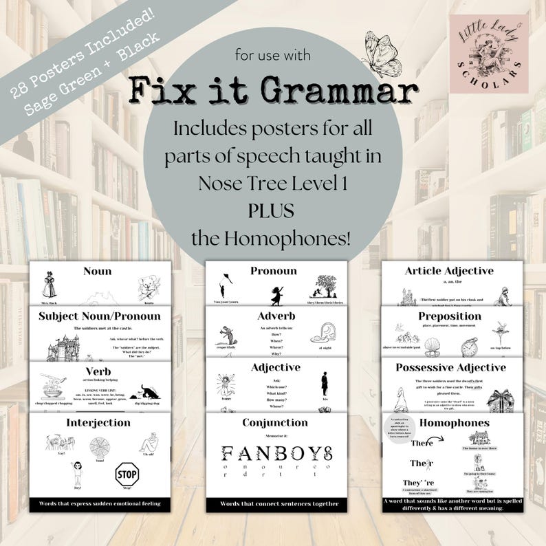Parts of Speech + Homophones Posters for Homeschool - Ideal for Fix It ...