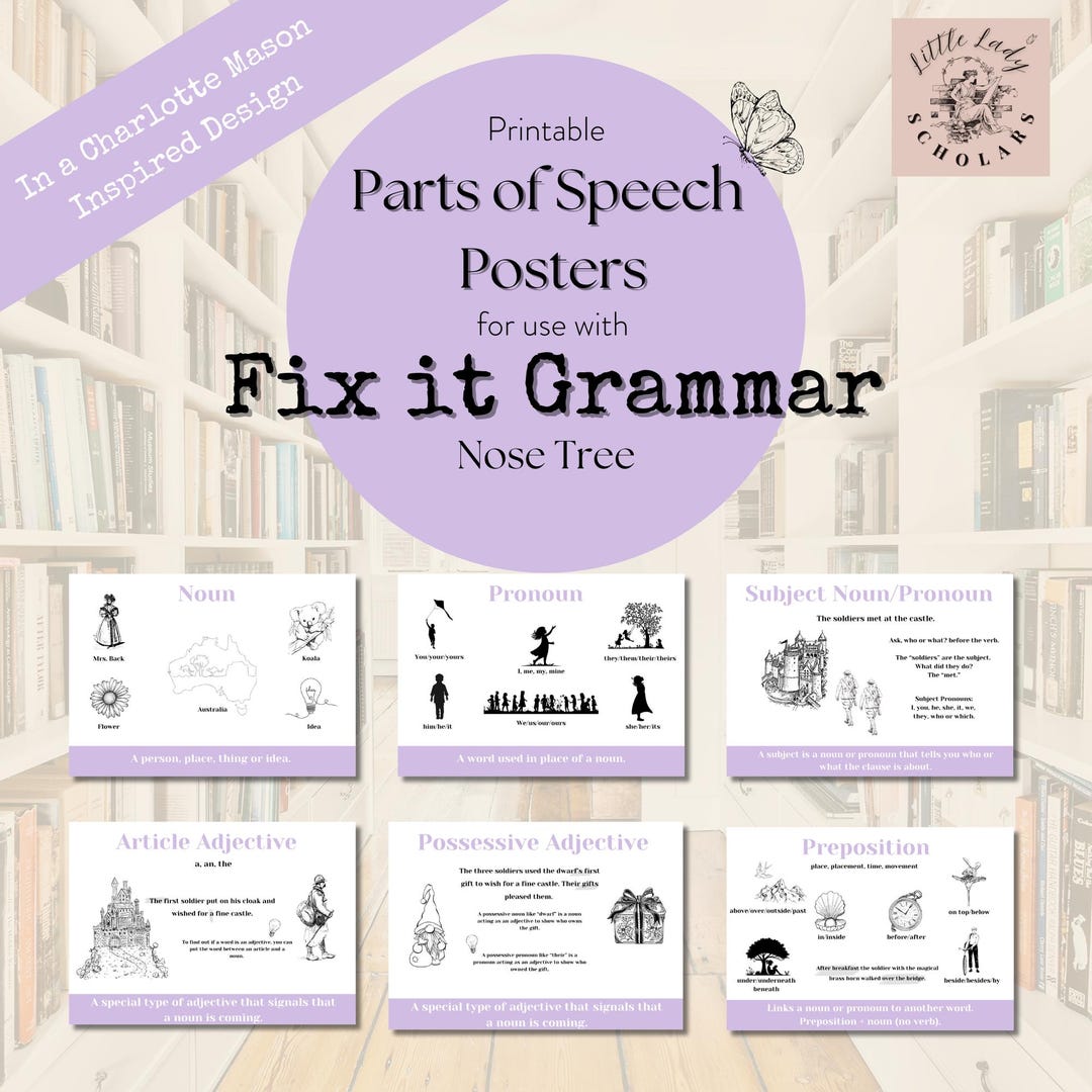 Parts of Speech + Homophones Posters for Homeschool - Ideal for Fix It ...