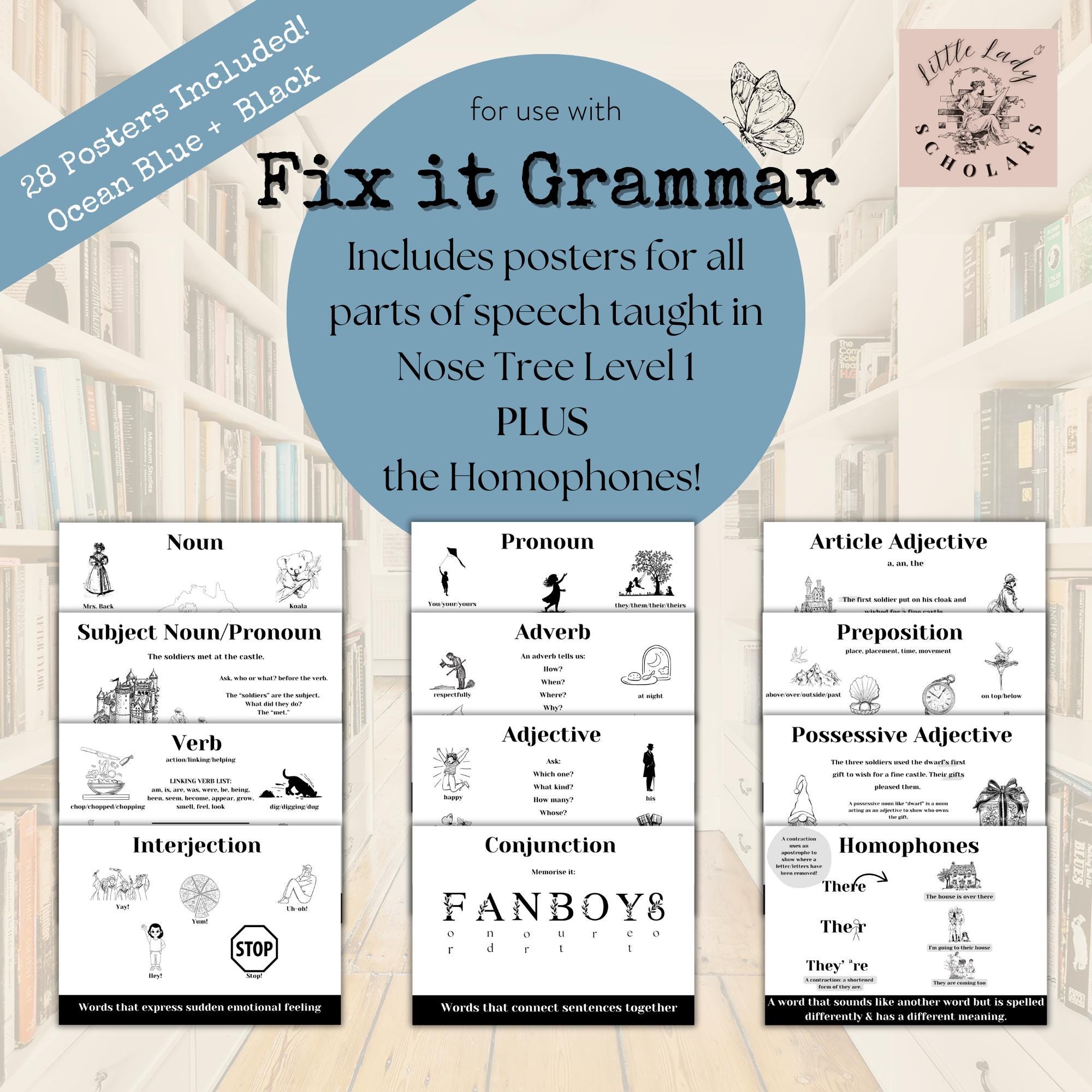 Parts of Speech + Homophones Posters for Homeschool Ideal for Fix It ...