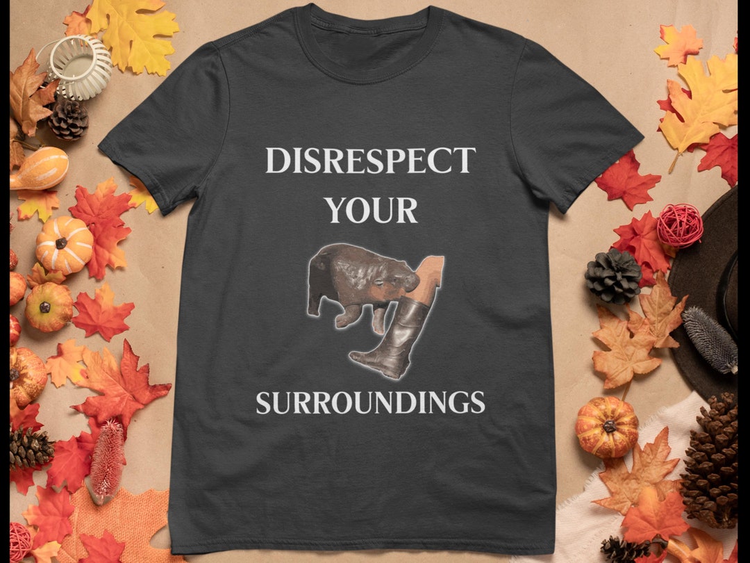 Disrespect Your Surroundings Moo Deng Hippo Shirts, Baby Hippo T Shirt ...