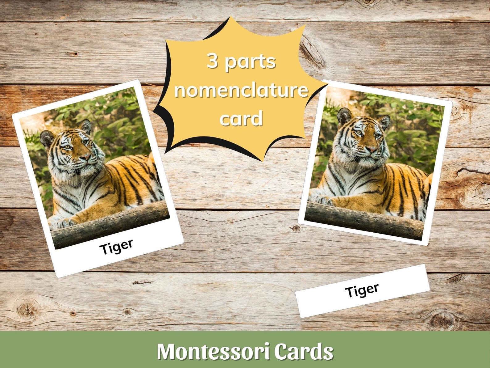 Safari Animal Flashcards With Real Photos, Montessori Cards ...