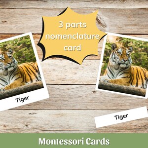 Safari Animal Flashcards With Real Photos, Montessori Cards ...