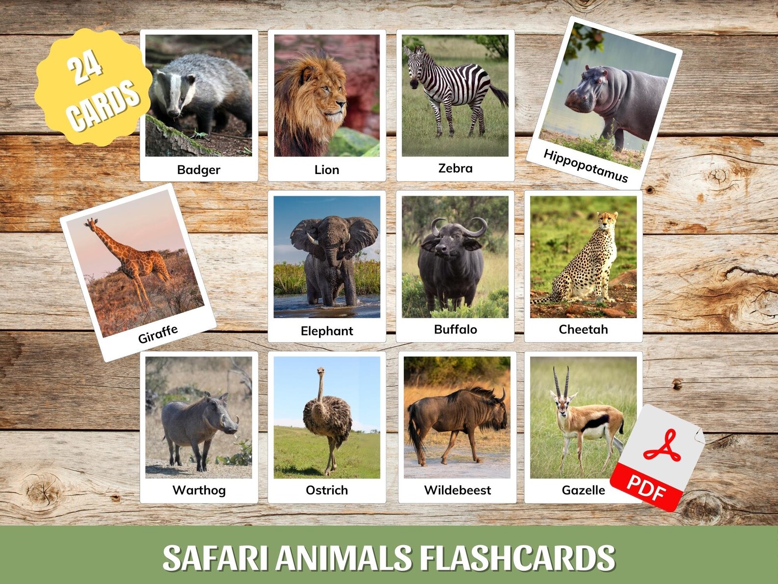 Safari Animal Flashcards With Real Photos, Montessori Cards ...