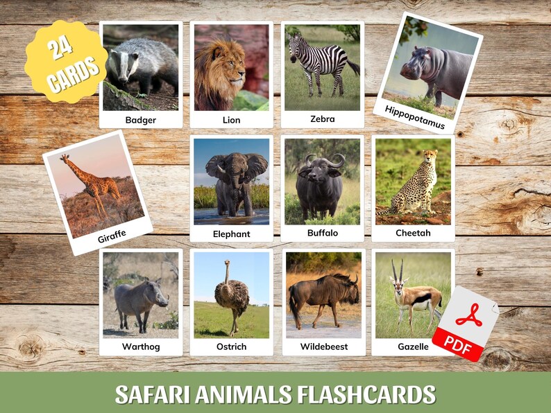 Safari Animal Flashcards With Real Photos, Montessori Cards ...