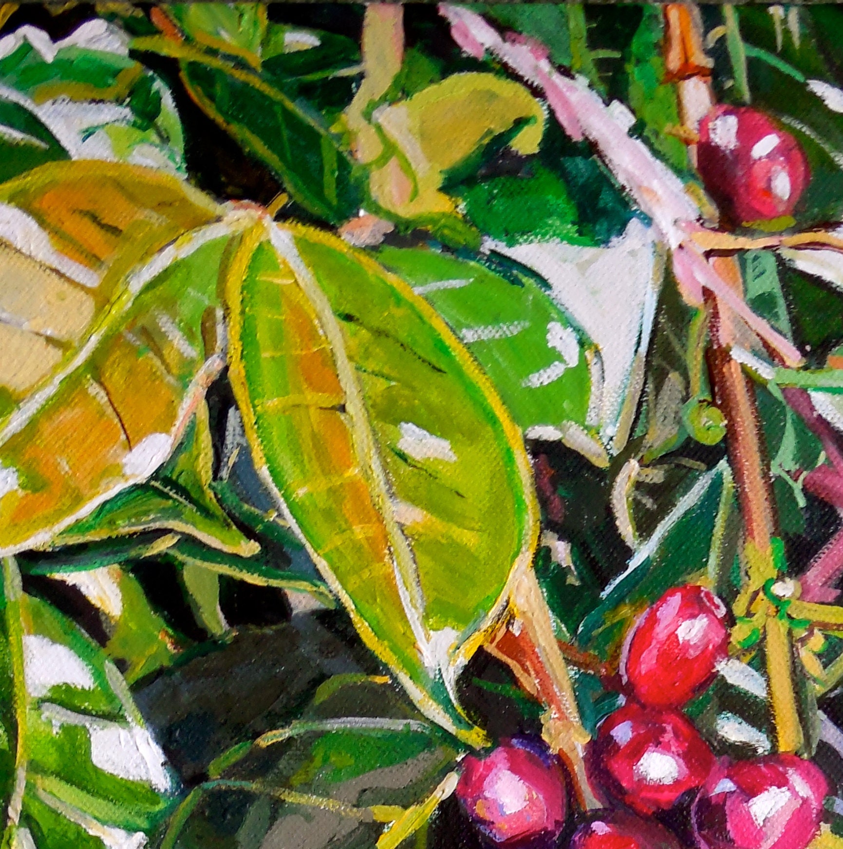 Coffee Plant Art Print Botanical Art Gift Medellin Colombia - Etsy