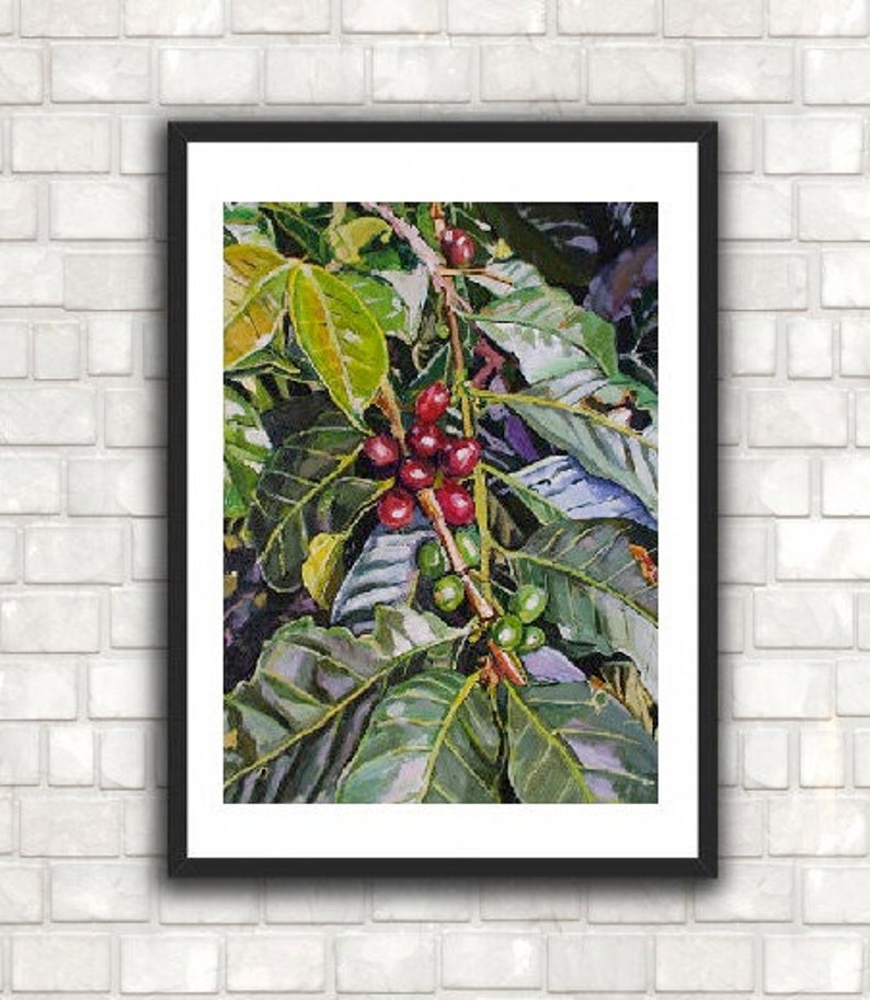 Coffee Plant Art Print, Botanical Art Gift, Medellin Colombia ...