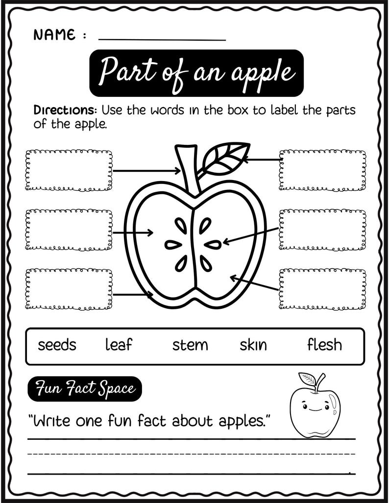 Apple Day Activities: First Grade Science Life Cycle & Math Worksheets ...
