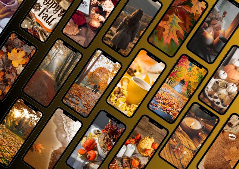 Fall Reels Bundle,aesthetic Faceless Videos, Reels Bundle,nature Reels ...