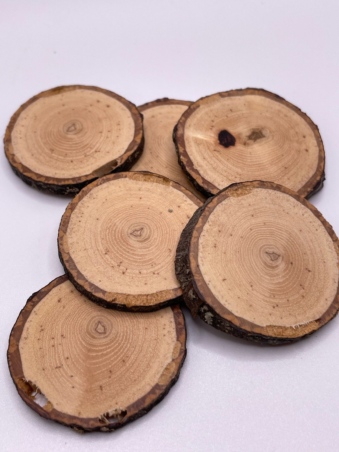 Hickory Wood Slices-6 Pc Set - Etsy