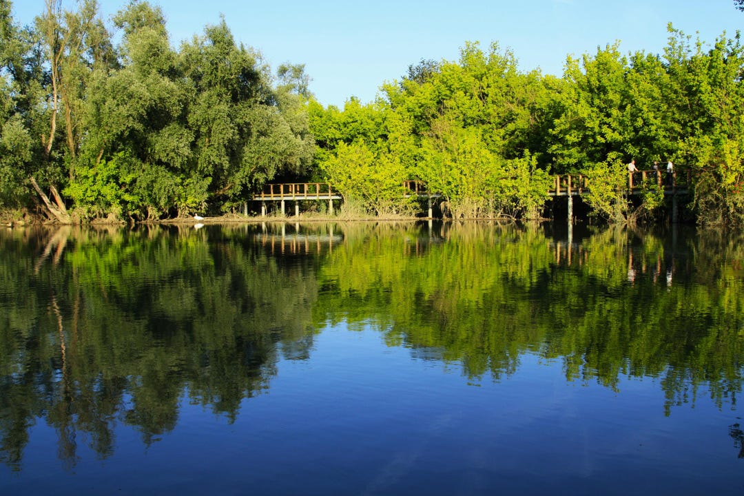 Photograph of Route on the Walkways of the Abandoned Burci Cemetery in ...
