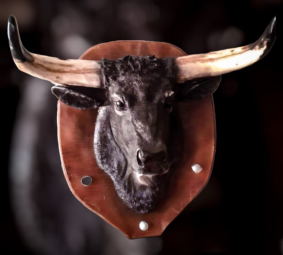 Bull Head Wall Mount 25 1/2 Fiberglass - Etsy