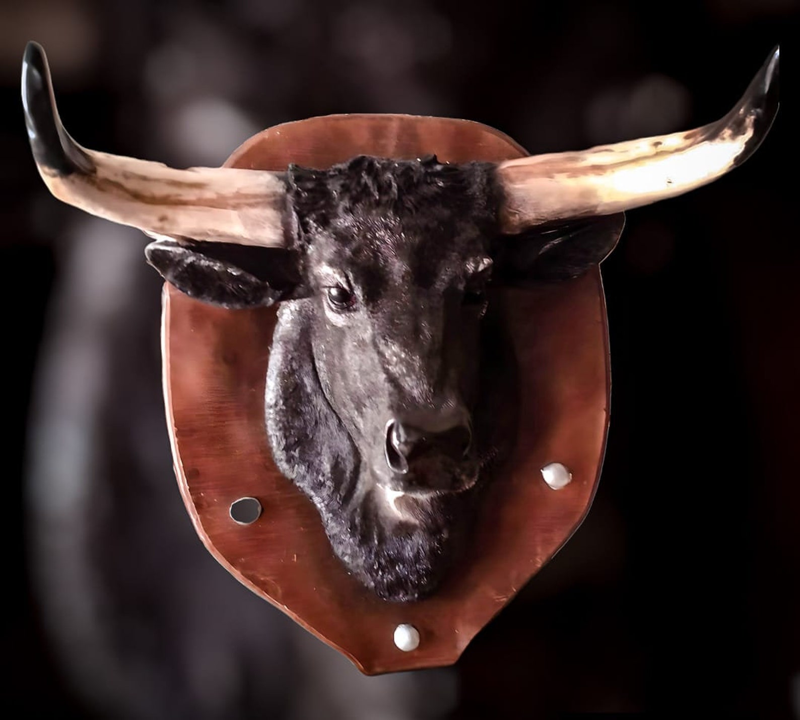 Bull Head Wall Mount 25 1/2 Fiberglass - Etsy