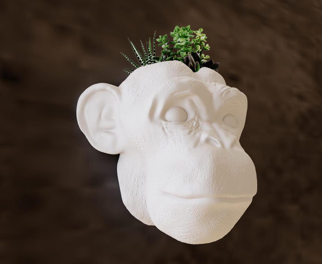 Monkey Planter - Succulent Planter - Flower Pot - Etsy
