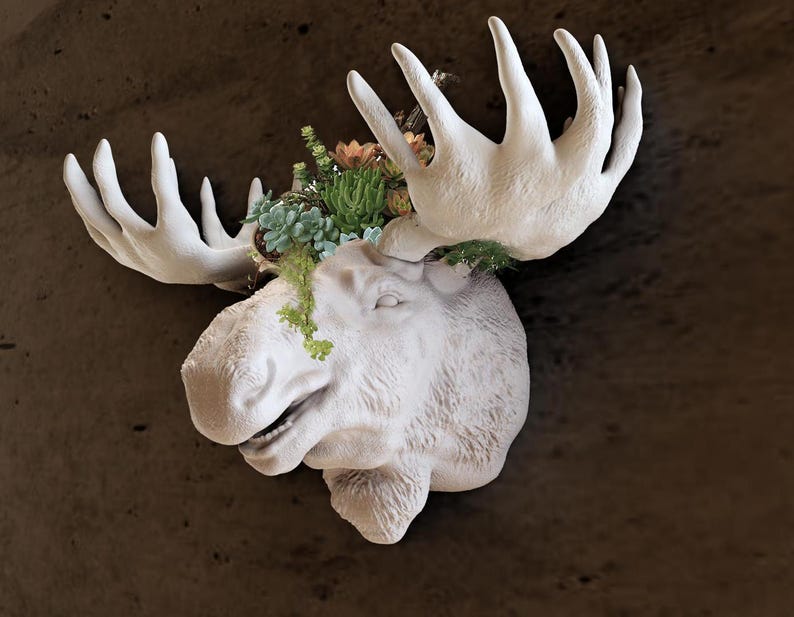 Elk Moose Head Wall Planter - Succulent Planter - Flower Pot - Etsy