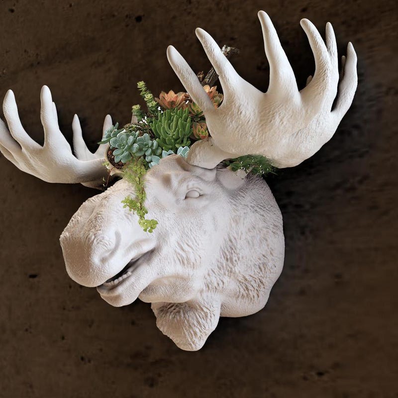 Elk Moose - Etsy
