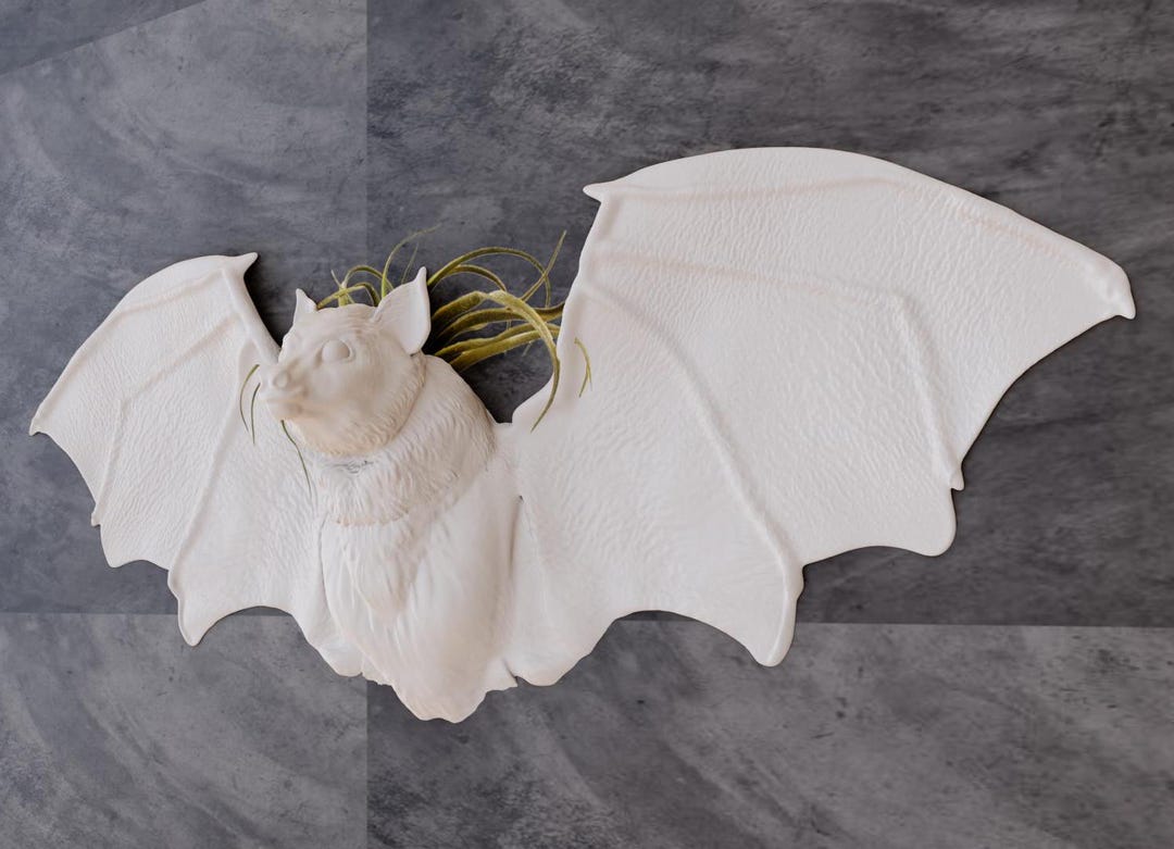 Flying Bat Wall Planter - Succulent Planter - Flower Pot - Etsy