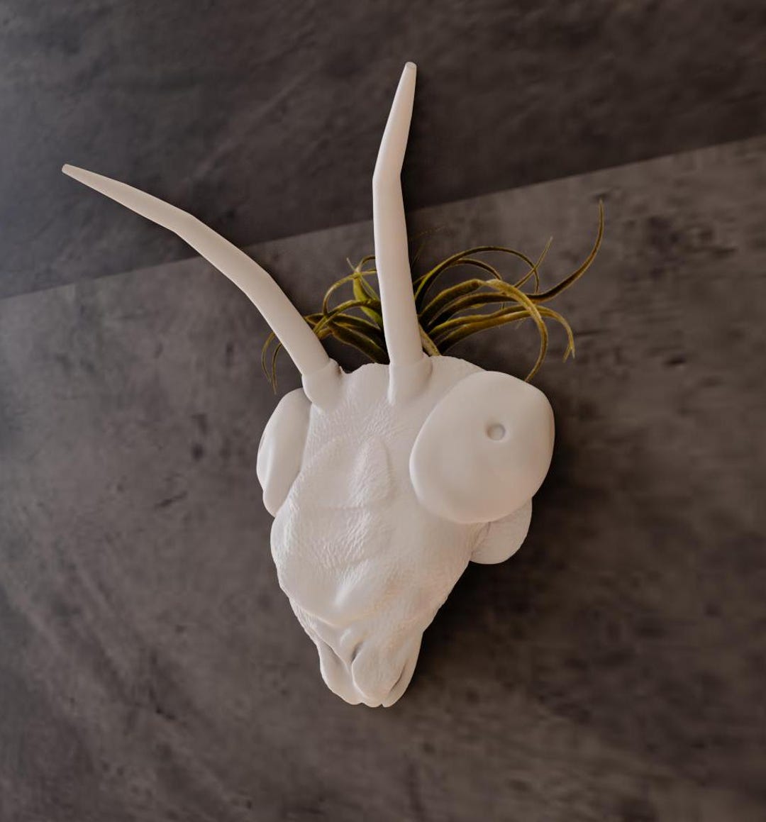 Praying Mantis Head Wall Mount Planter - Succulent Planter - Flower Pot ...