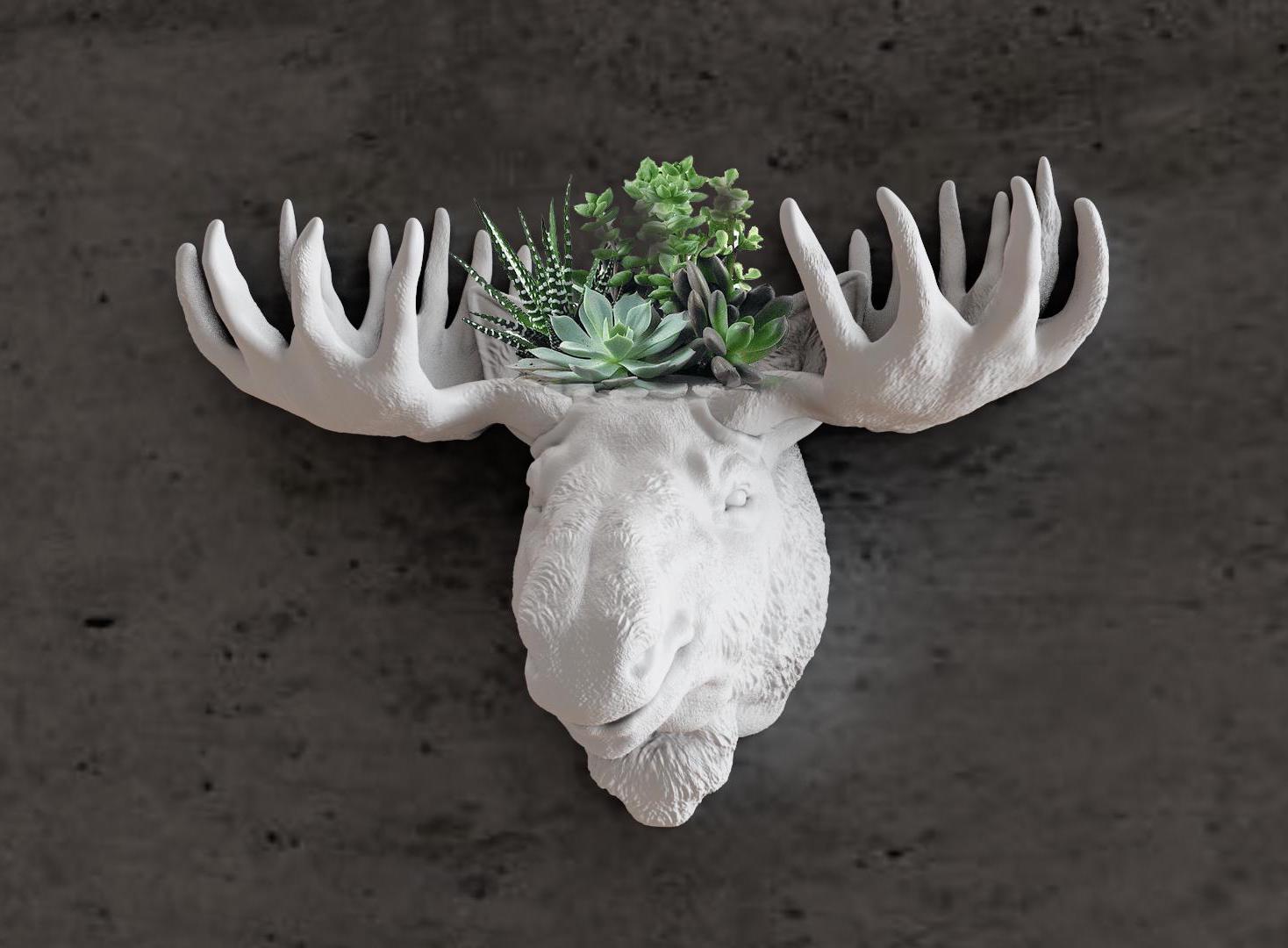 Elk Moose Head Wall Planter - Succulent Planter - Flower Pot - Etsy