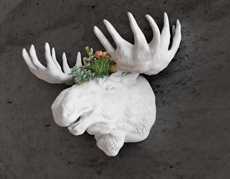 Elk Moose Head Wall Planter - Succulent Planter - Flower Pot - Etsy