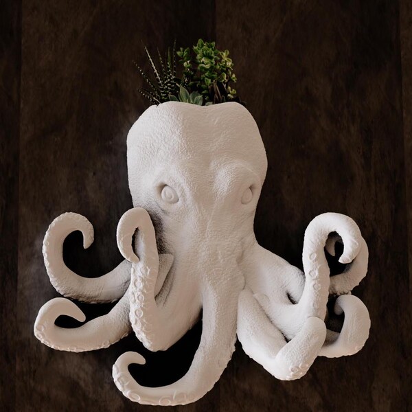 Octopus Planter - Etsy