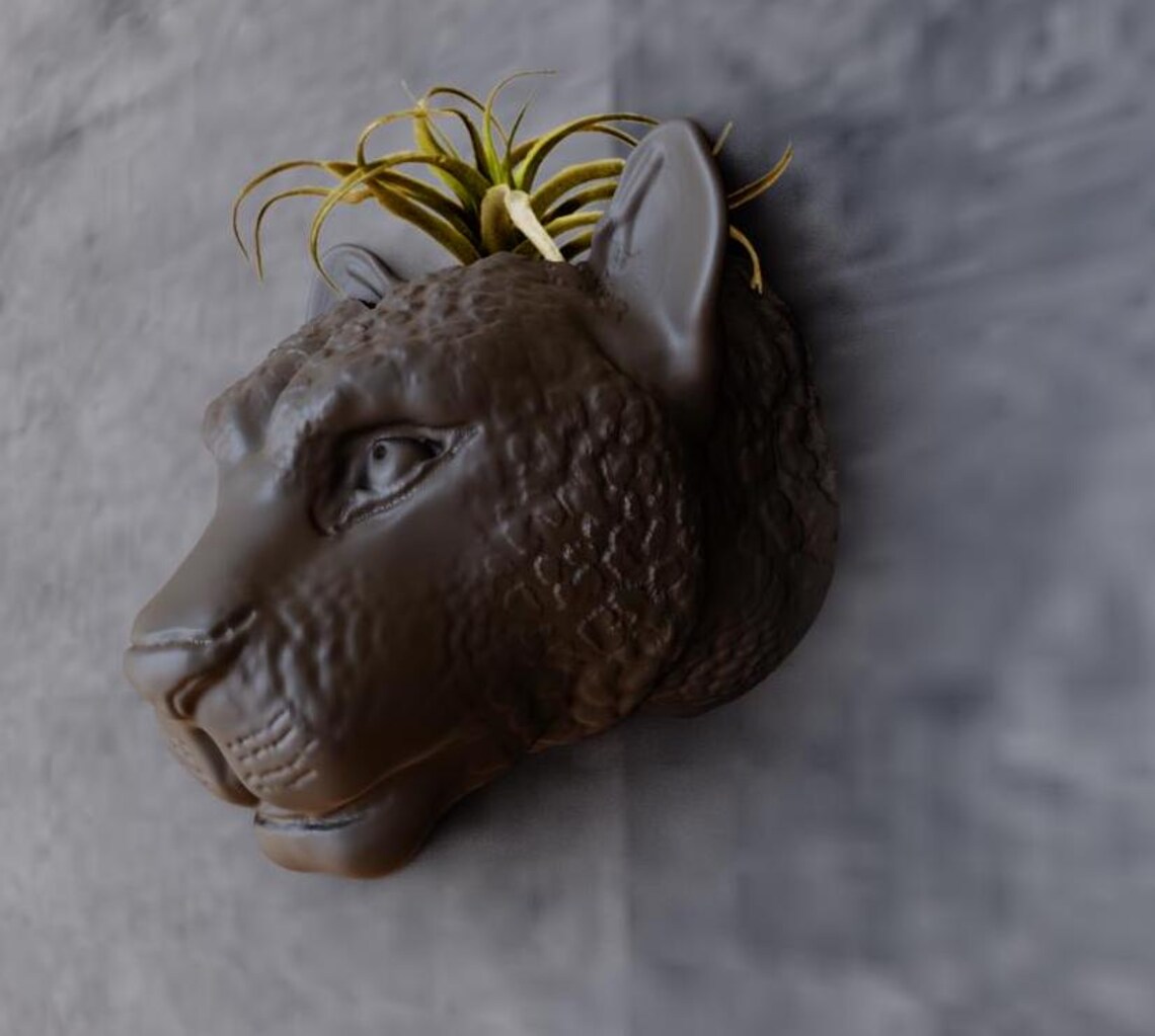 Jaguar Leopard Head Wall Mount Planter - Succulent Planter - Flower Pot ...