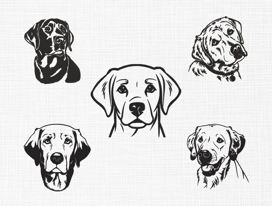 Labrador Dog Embroidery Designs, Dog Machine Embroidery Pattern Dogs ...