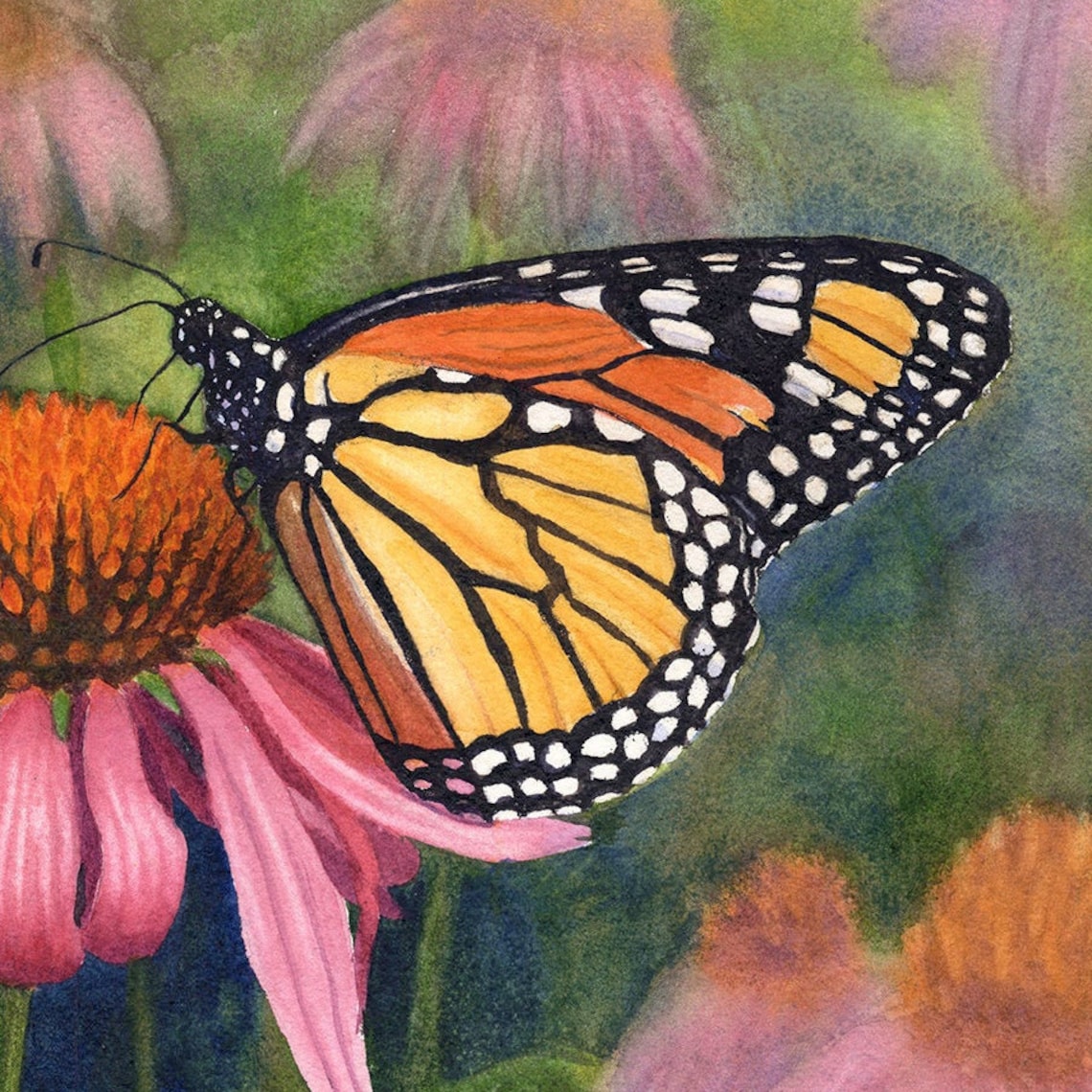 Monarch Butterfly Watercolor Painting Print by Cathy Hillegas - Etsy