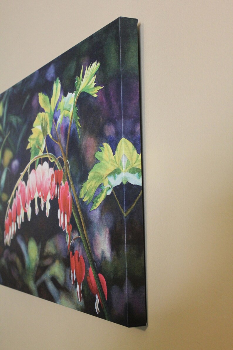 Bleeding Heart Art Watercolor Painting Print on Canvas by Cathy ...
