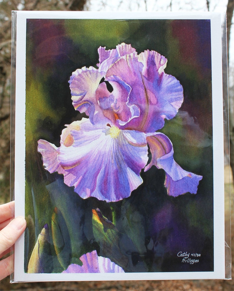 Purple Iris Watercolor Painting Print by Cathy Hillegas Iris - Etsy