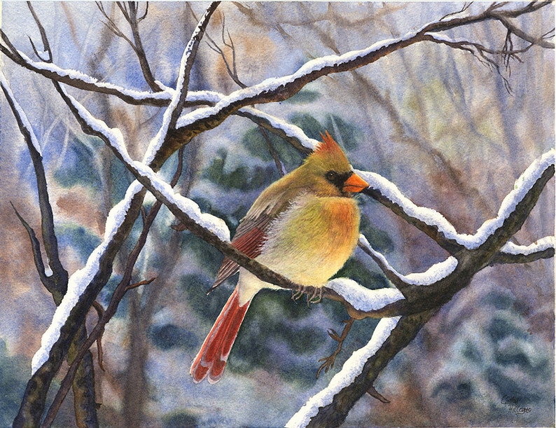Cardinal Winter Watercolor Painting Print by Cathy Hillegas - Etsy