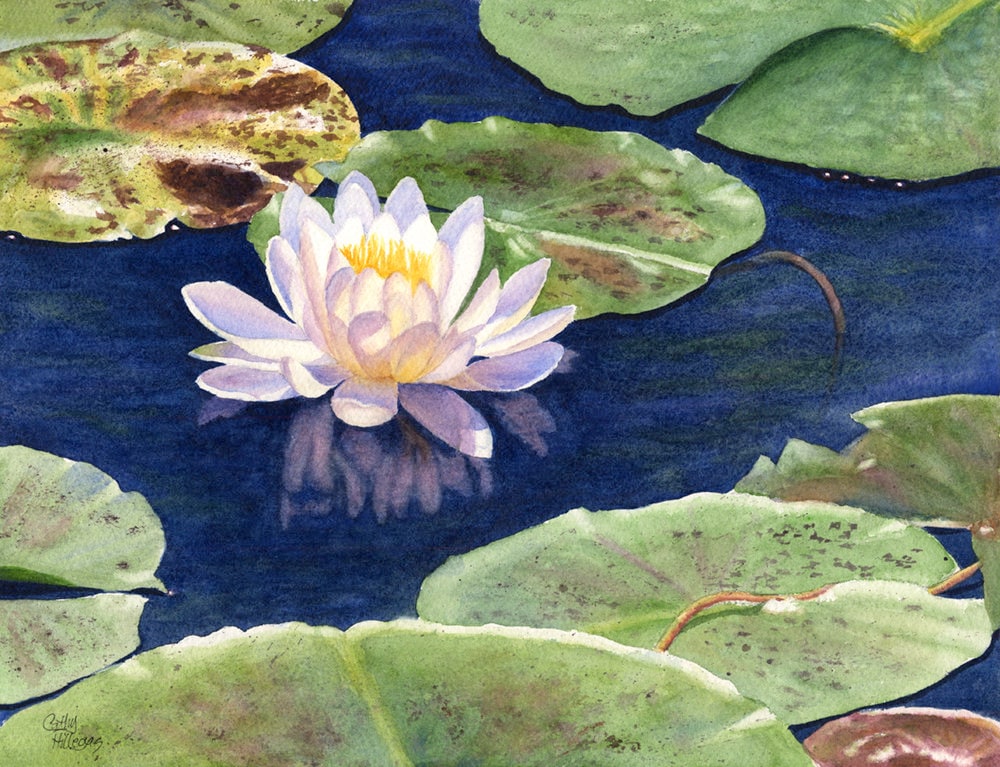 Water Lily Watercolor Painting Print by Cathy Hillegas, 16x21 ...