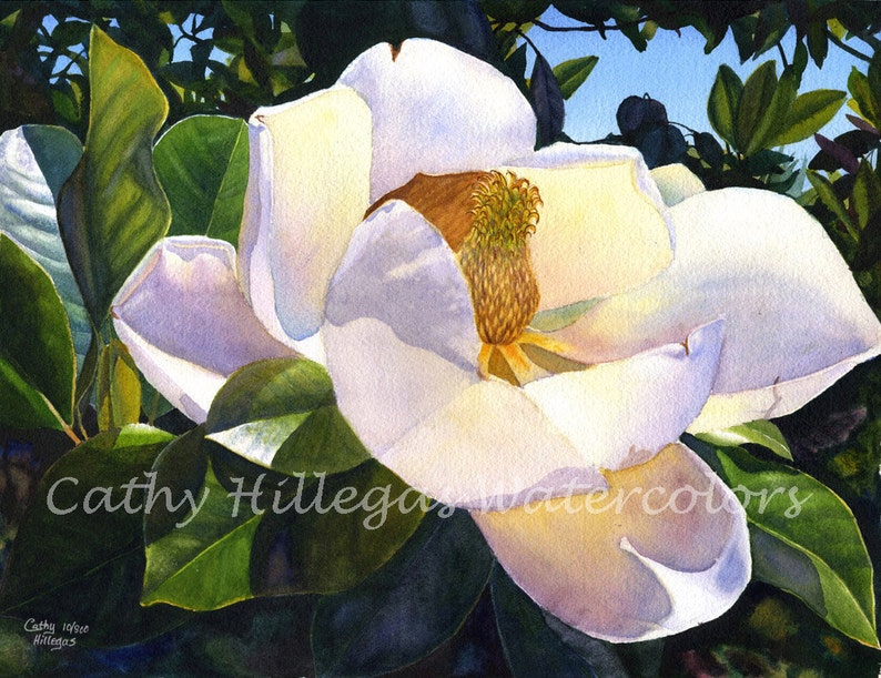 White Magnolia Art Watercolor Painting Print by Cathy - Etsy