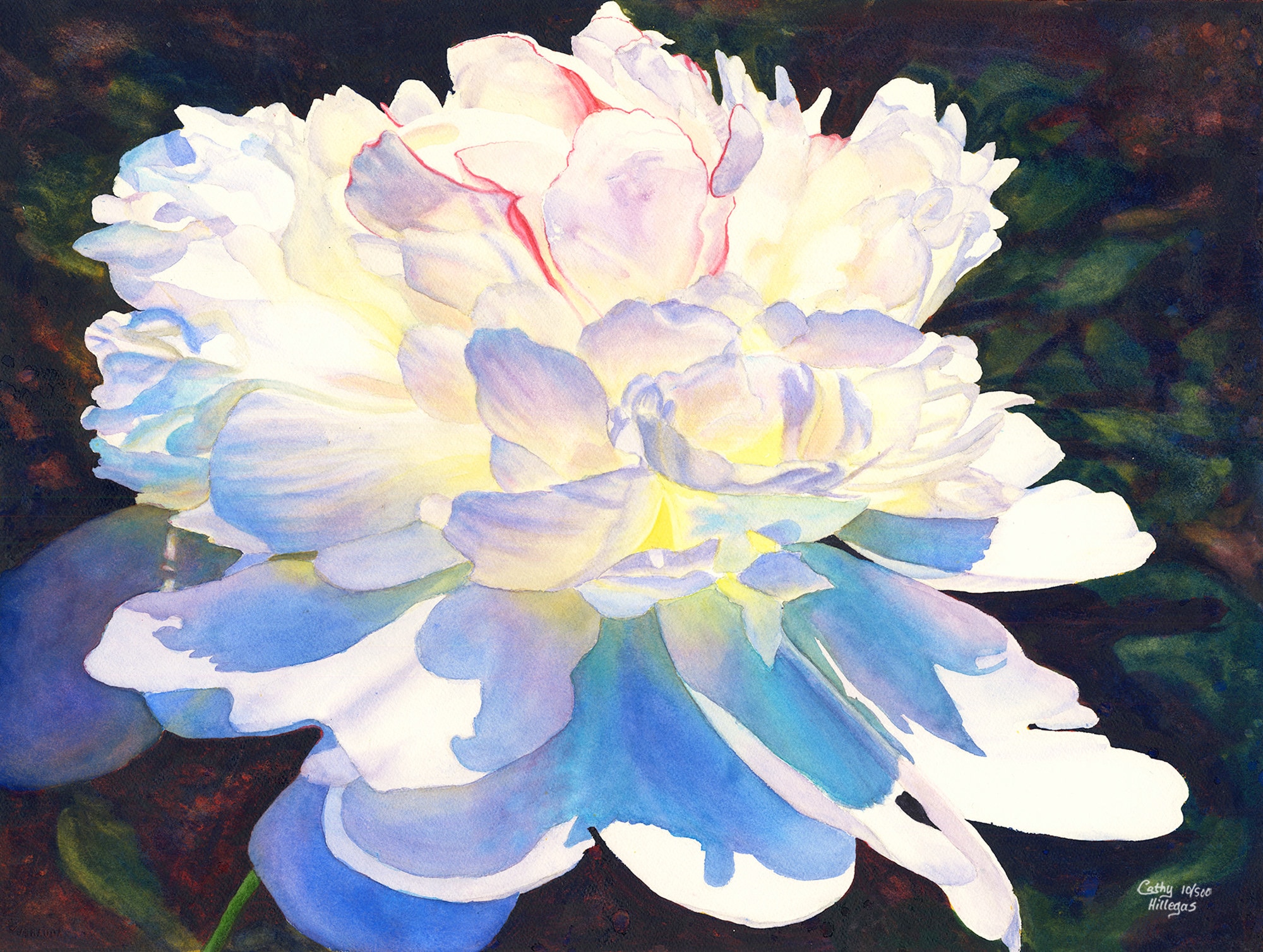 White Peony Painting